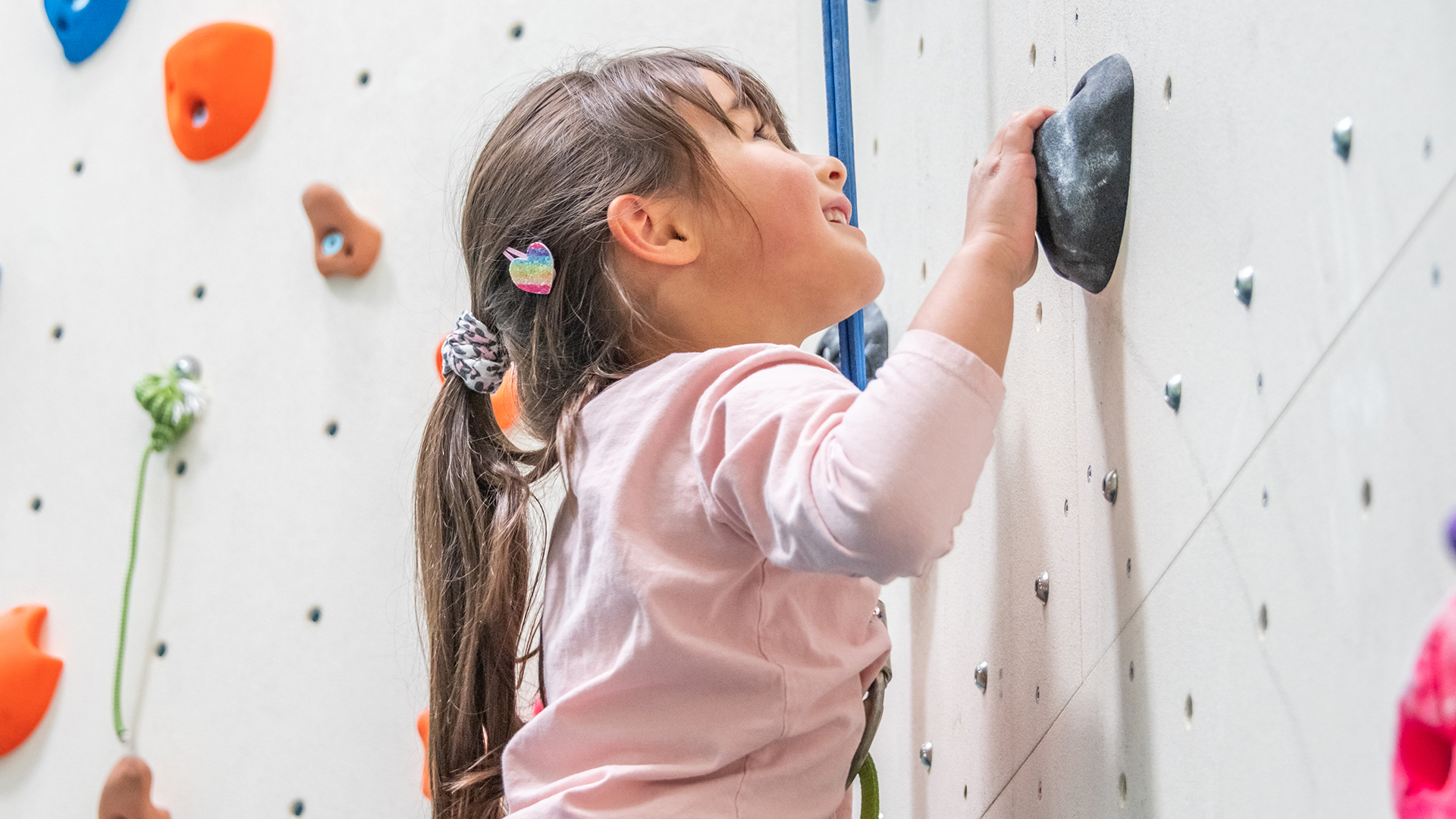 Jurassic Ridge Climbing Centre | Family Day Out at Seal's Cove Indoor ...