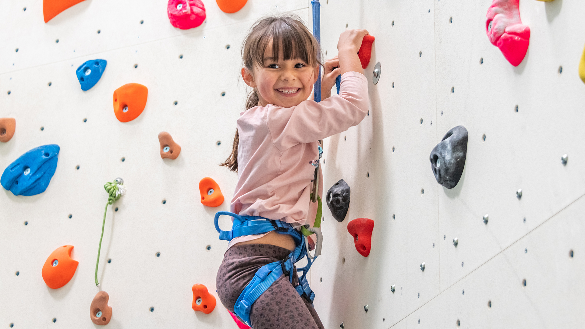 Jurassic Ridge Climbing Centre | Family Day Out at Seal's Cove Indoor ...